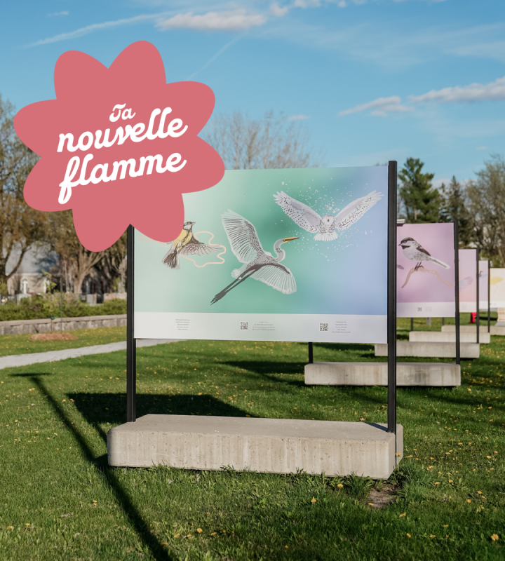 Exposition extérieure : Devenir chez nous | Espace Culturel de Repentigny
